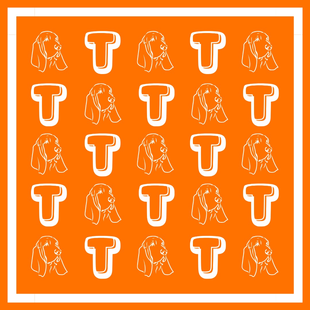 Tennessee Satin Scarf – Five Points Boutique